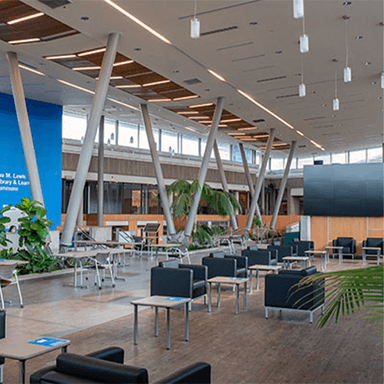 Niagara College: Ranking, Courses and Admission Requirements