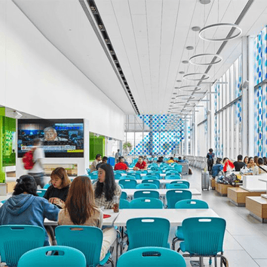 Niagara College: Ranking, Courses and Admission Requirements