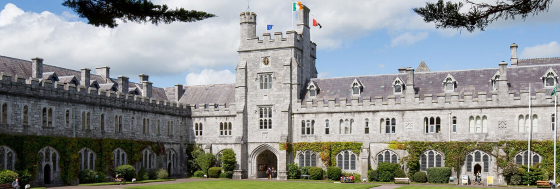 Waterford Institute of Technology, Waterford: Ranking, Courses and ...